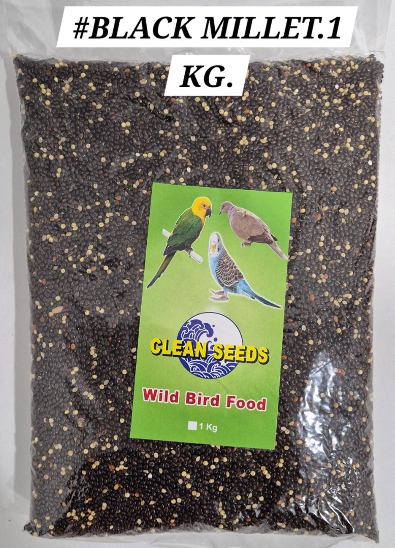Clean Seeds Wild Bird Food Feed Red / Black / Green Millet 1kg, Pet ...