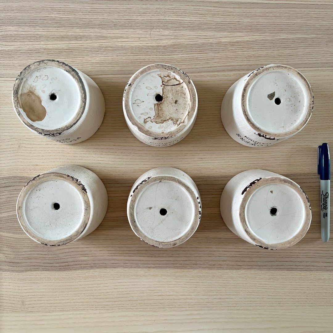 Daiso plant pots / small planters, Furniture & Home Living, Gardening ...
