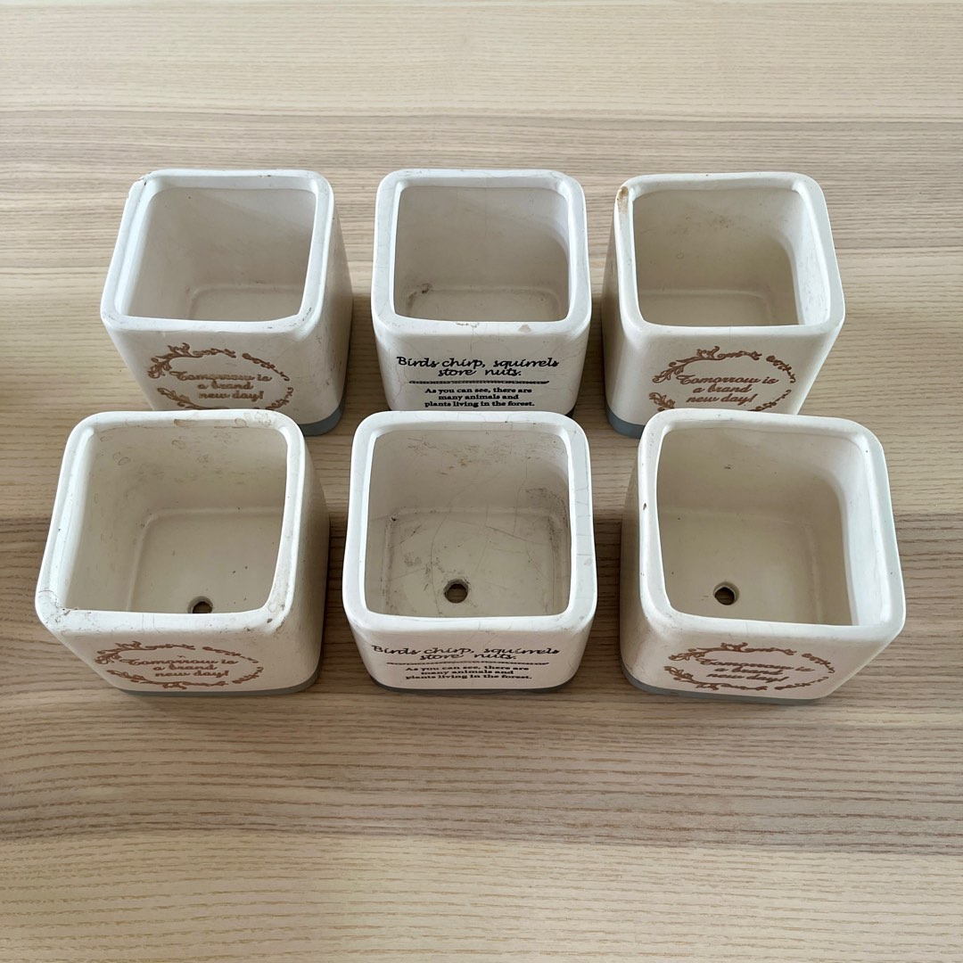Daiso square plant pots / small planters, Furniture & Home Living ...