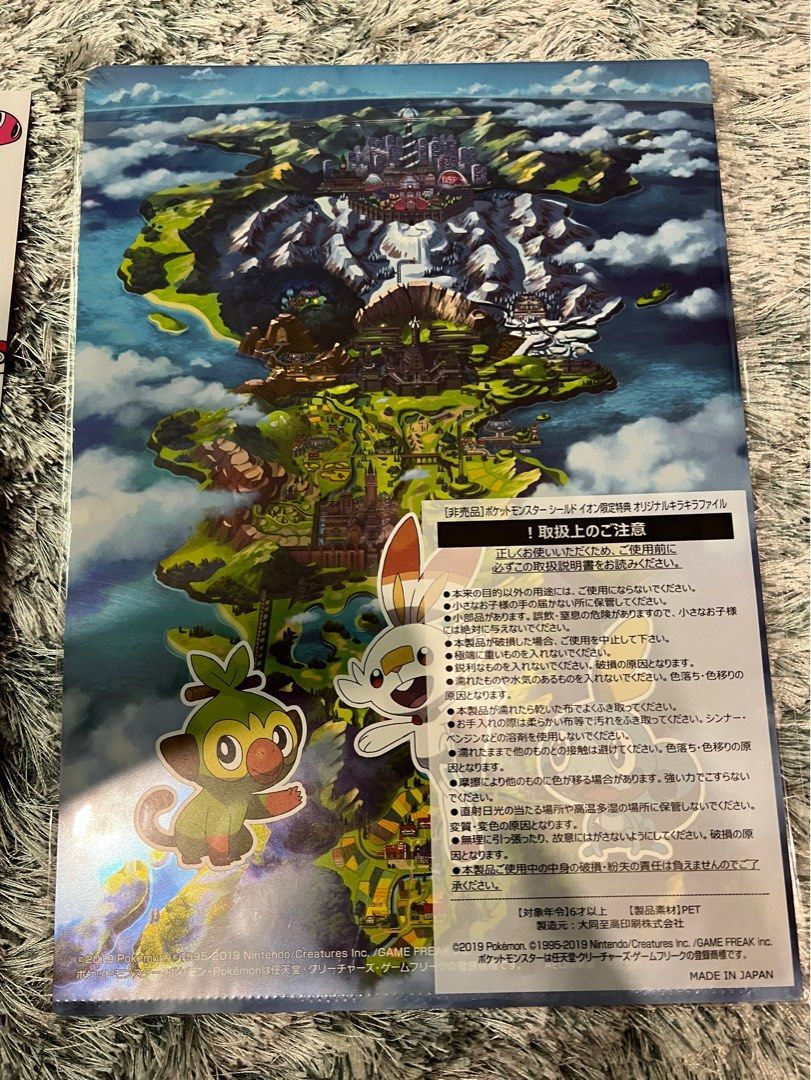 Pokemon A4 Folder, Hobbies & Toys, Collectibles & Memorabilia, Fan ...