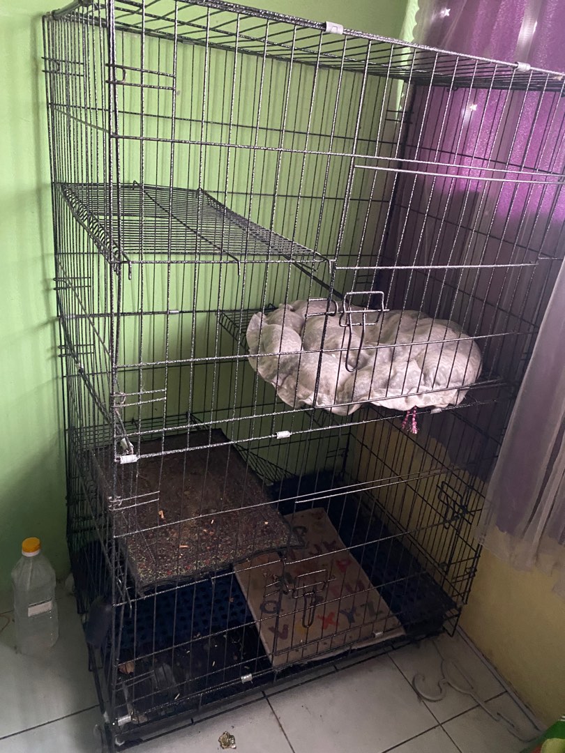 Cage Kucing 2 tingkat, Pet Supplies, Homes & Other Pet Accessories on ...