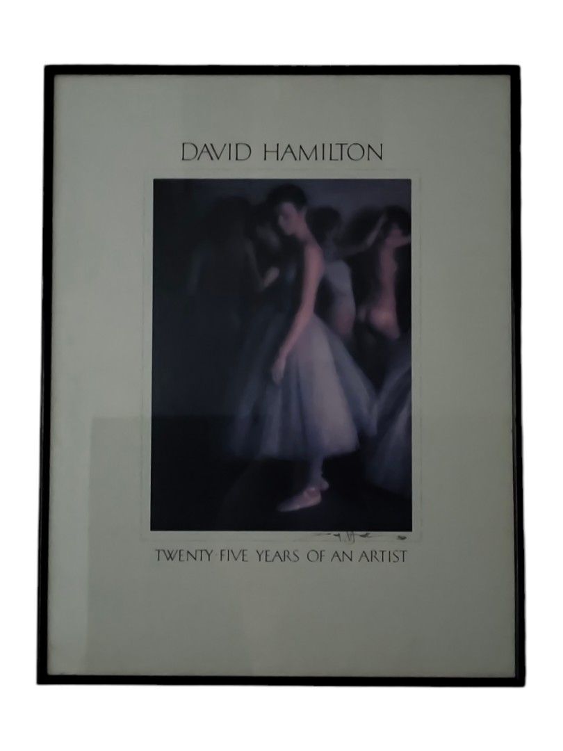 David Hamilton - 25-Years of an artist picture framed with signature ...