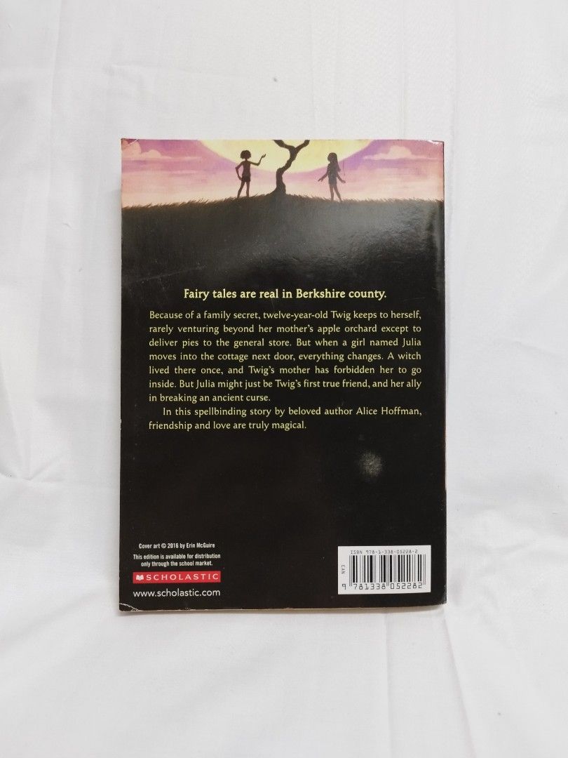 Nightbird Alice Hoffman, Hobbies & Toys, Books & Magazines, Storybooks ...