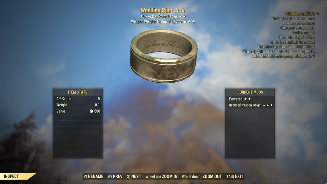 Fallout 76 Ring Coat Pirate hat, Video Gaming, Gaming Accessories, In ...
