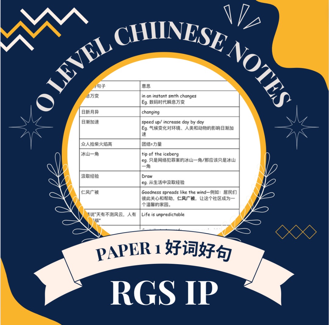 Raffles O level Chinese Paper 1 好词好句 package from RGS IP student ...