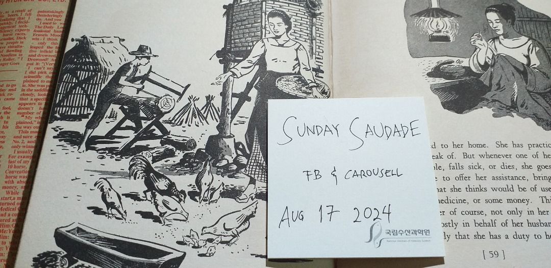 Vanishing Dawn: Essays on the Vanishing Customs of the Christian ...