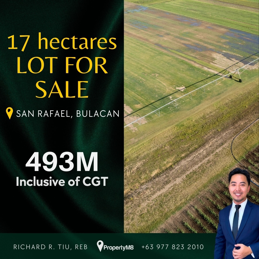 17 Hectares Lot for Sale in San Rafael Bulacan UL003, Property, For ...