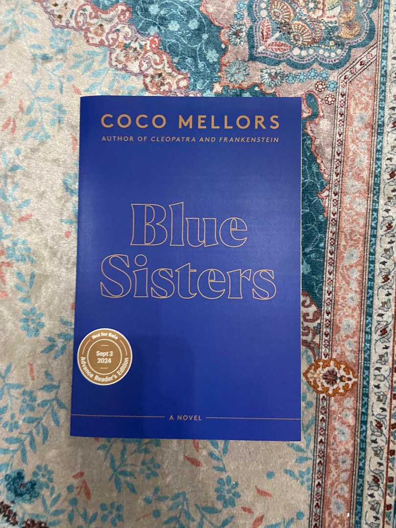 Blue Sisters by Coco Mellors, Hobbies & Toys, Books & Magazines ...