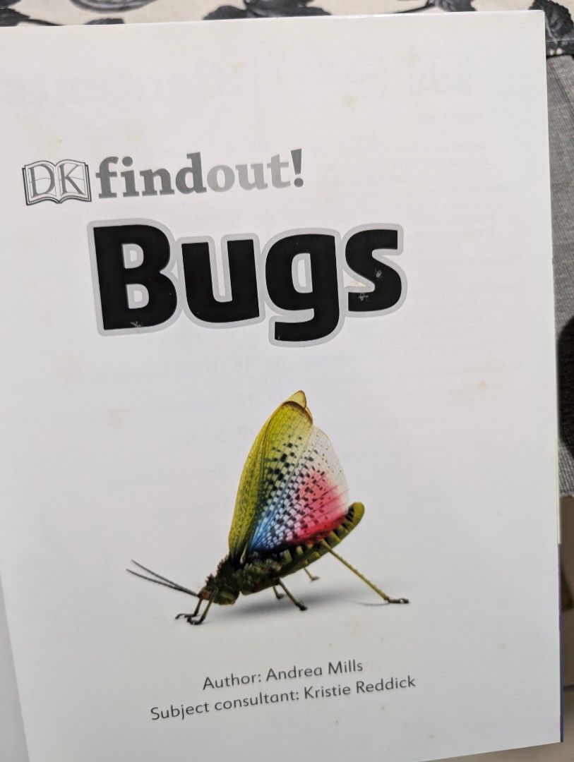 Dk findout Bugs, Hobbies & Toys, Books & Magazines, Children's Books on ...