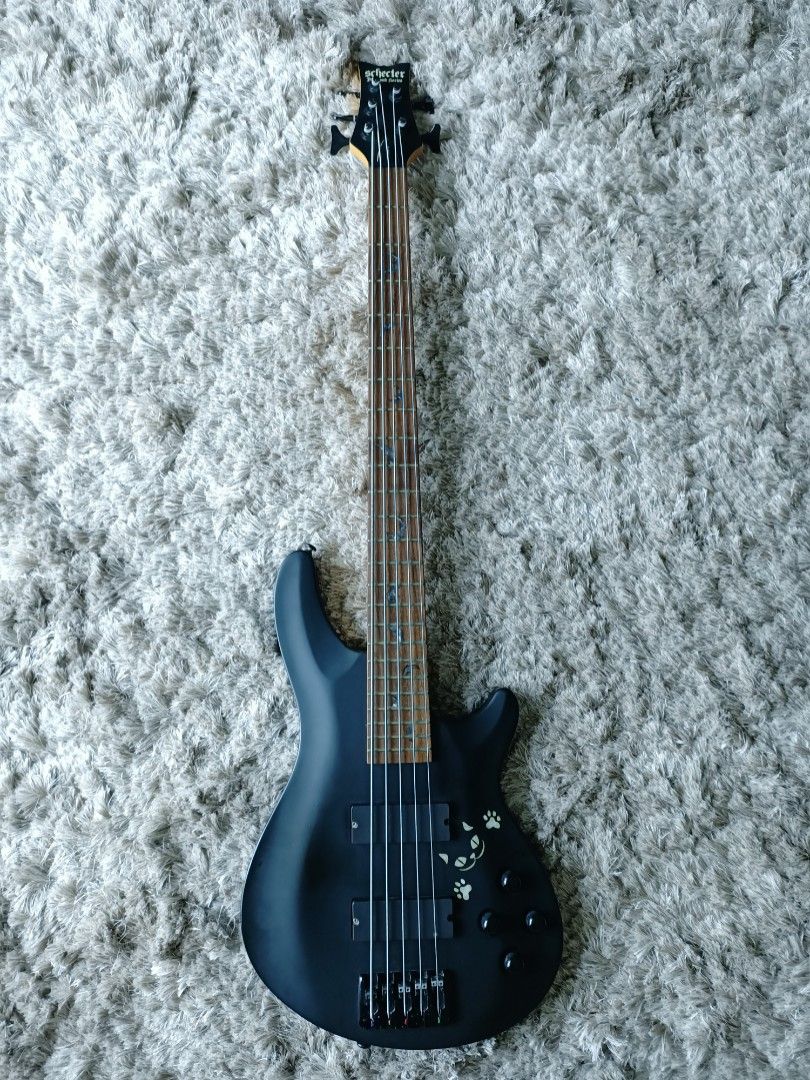 Schecter Diamond Series Damien-5 5String Active Bass EMG-HZ Pickup Made ...