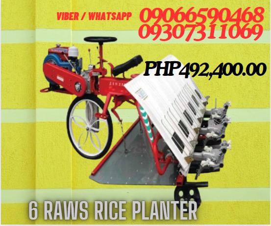 6 rows Ride-on rice planter For Agricultural Use, Everything Else ...