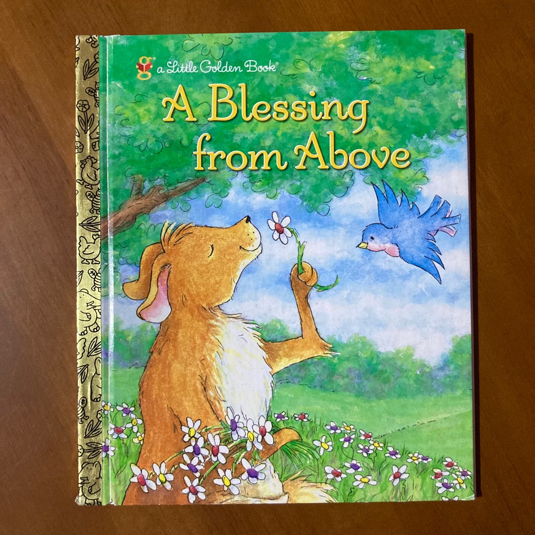 A Blessing From Above by Patti Henderson, Illustrated by Liz Edge ...