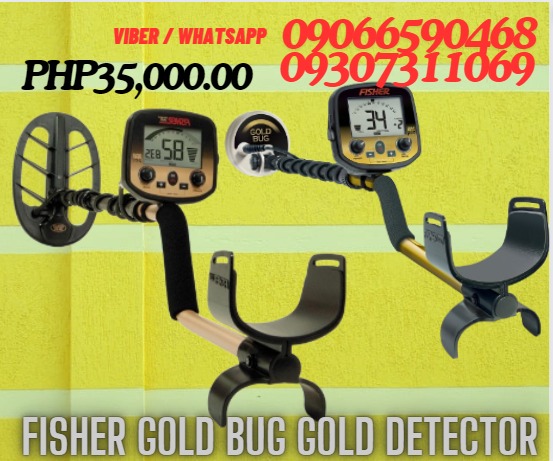 Ground Scanner Gold detector metal Detector Fisher Gold Bug, Everything ...