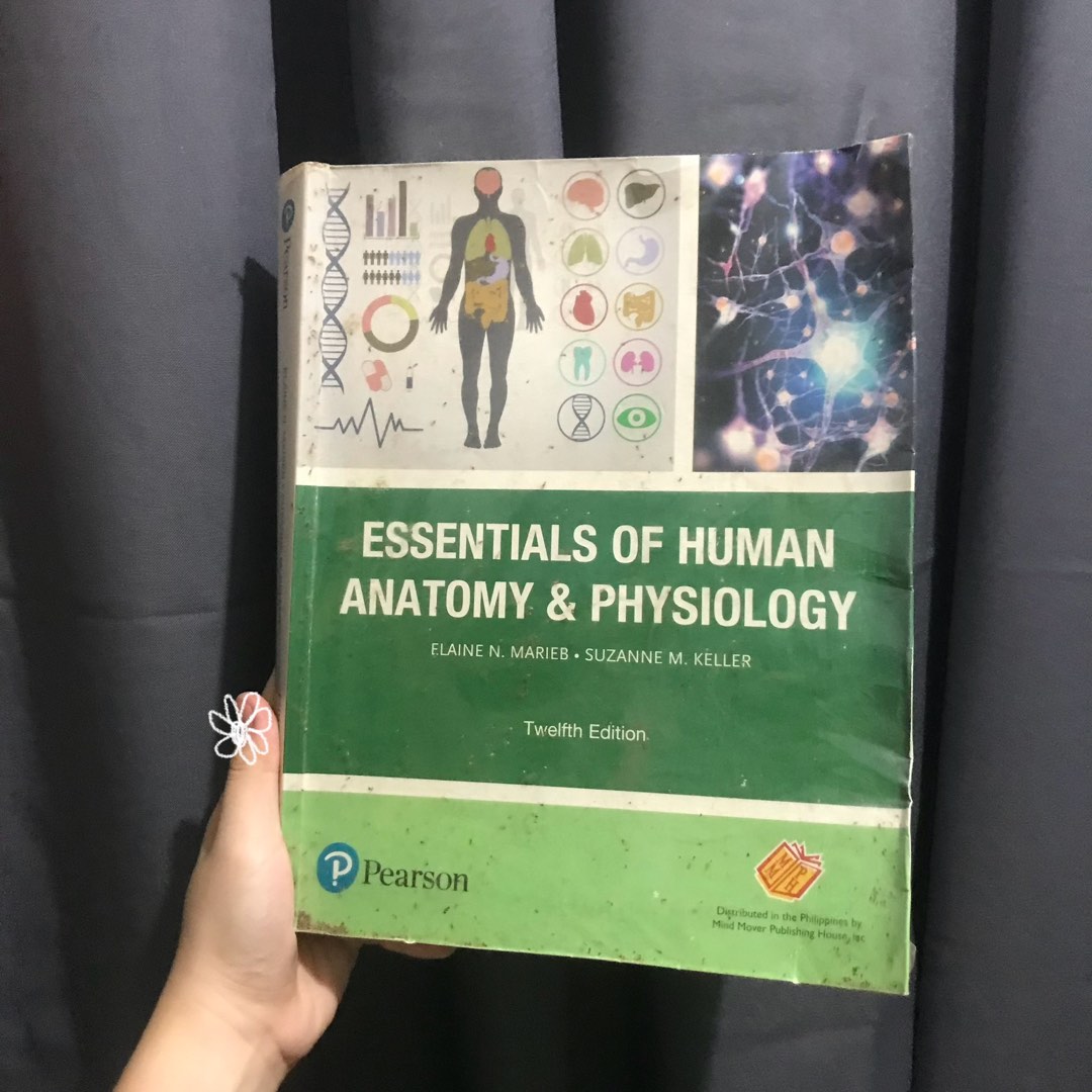 Essentials of human anatomy and physiology (marieb), Hobbies & Toys ...