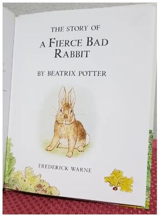 (Peter Rabbit) The Story of a Fierce Bad Rabbit by Beatrix Potter ...