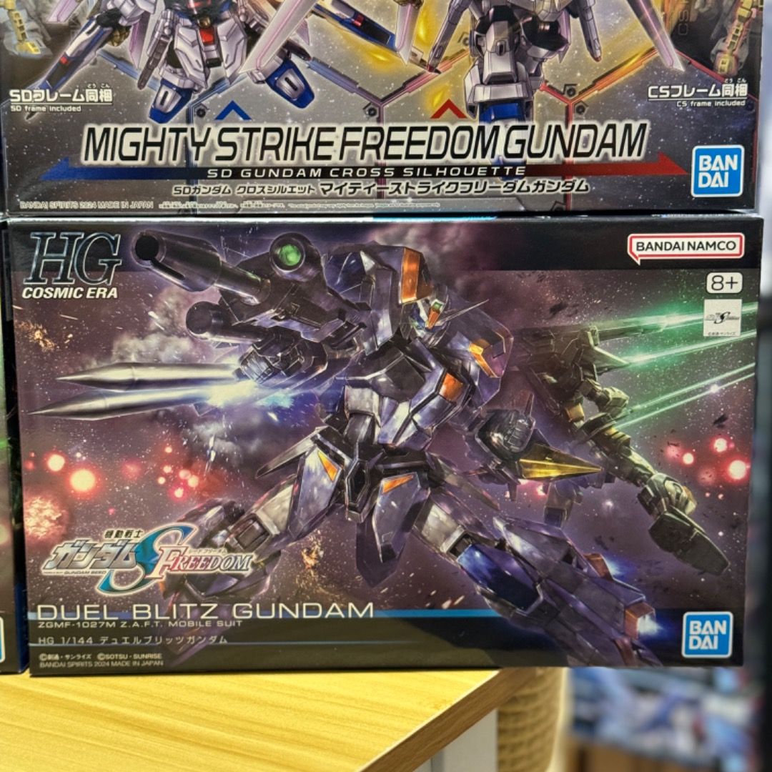 SDCS 高達系列 突擊自由高達極 HG 1/144 電光暴風高達 [ROBOT魂] RMS-106 高性能渣古 ver. A.N.I.M.E. HG 1/144 決鬥閃電高達, 興趣及遊戲 ...