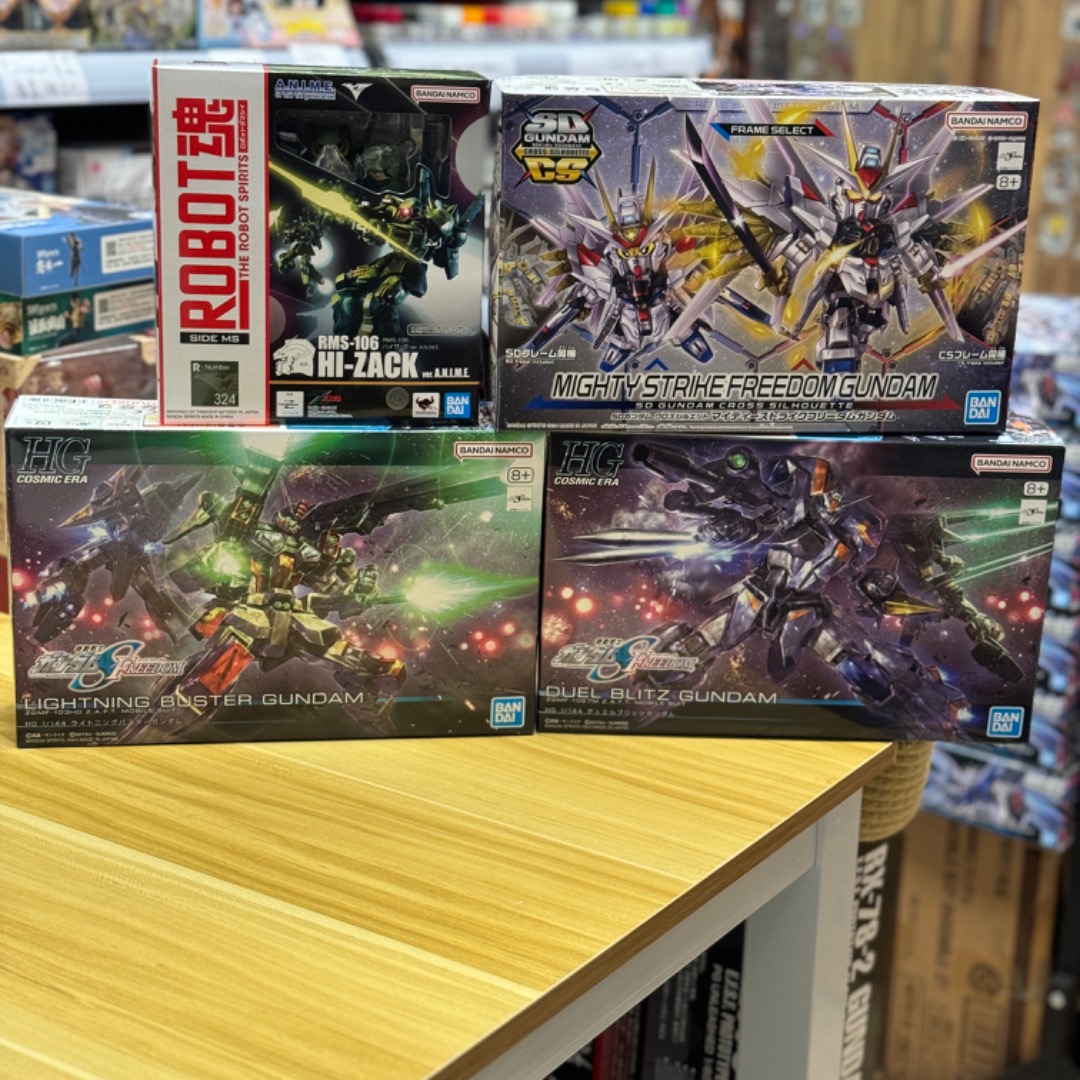 SDCS 高達系列 突擊自由高達極 HG 1/144 電光暴風高達 [ROBOT魂] RMS-106 高性能渣古 ver. A.N.I.M.E. HG 1/144 決鬥閃電高達, 興趣及遊戲 ...