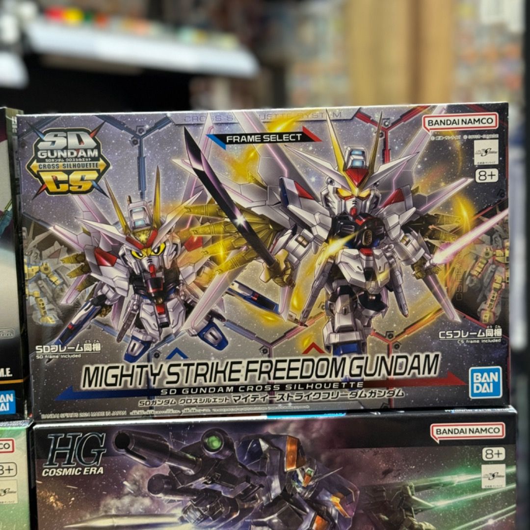 SDCS 高達系列 突擊自由高達極 HG 1/144 電光暴風高達 [ROBOT魂] RMS-106 高性能渣古 ver. A.N.I.M.E. HG 1/144 決鬥閃電高達, 興趣及遊戲 ...