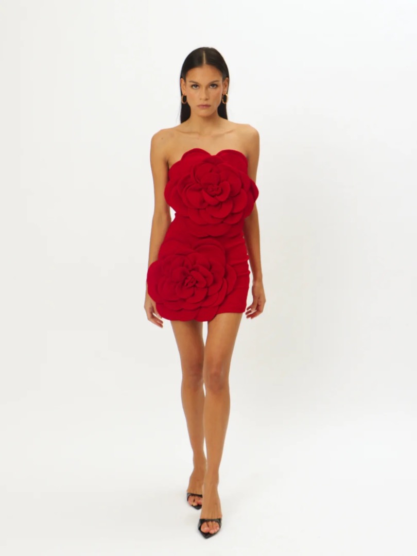 Sky Castle Red Party Mini Dress, Women's Fashion, Dresses & Sets ...