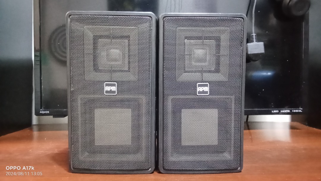 Sony APM 8 ohms Speaker, Audio, Soundbars, Speakers & Amplifiers on ...