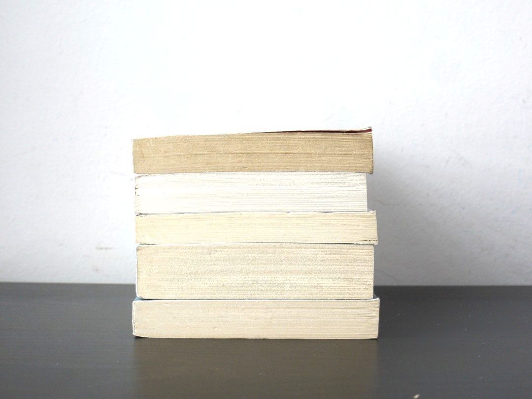 The Curious Incident Of The Dog In The Night-Time by Mark Haddon|Will You Stay? by Norhafisah ...