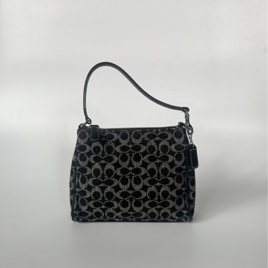 coach mini hand bag/ shoulder bag, Luxury, Bags & Wallets on Carousell