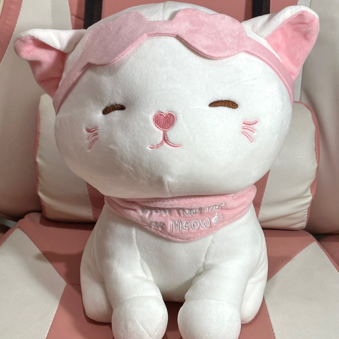 Miniso Cat Plush Stuffed Toy, Hobbies & Toys, Toys & Games on Carousell