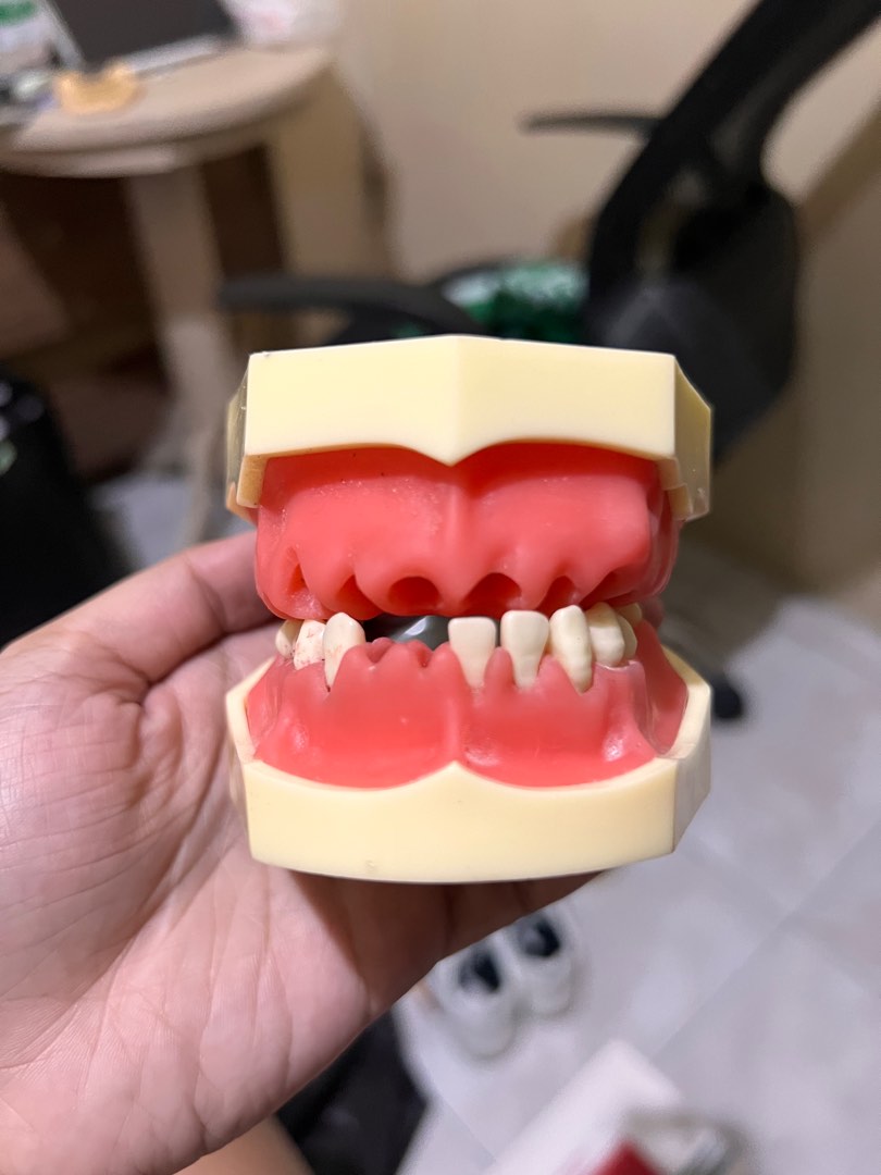 Perio Jaw, Beauty & Personal Care, Oral Care on Carousell