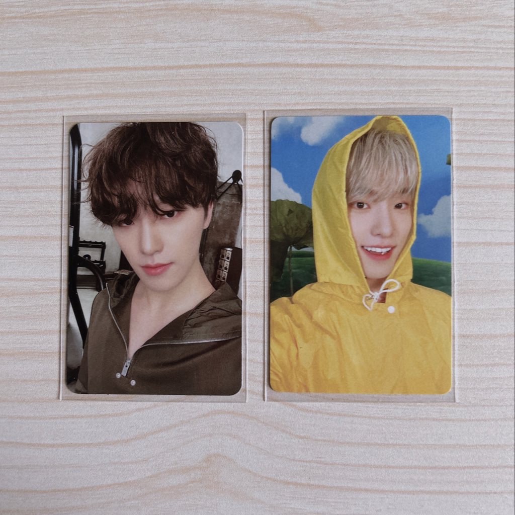 TAKE ALL Seventeen SVT Dino Photocard PC Set, Hobbies & Toys ...