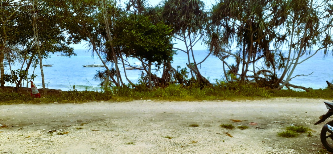 Beachlot in San Isidro Dauis, Panglao Island overlooking white sand ...