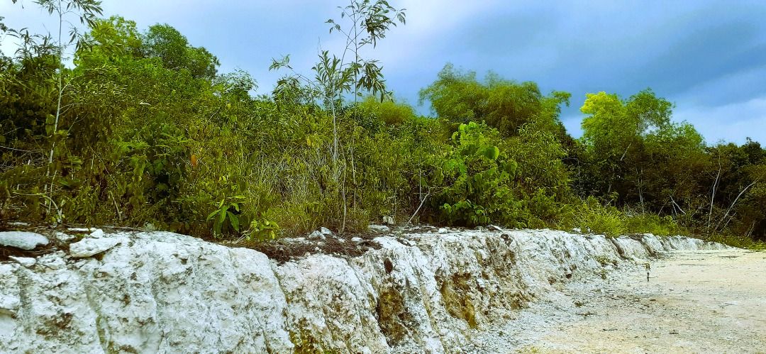 Beachlot in San Isidro Dauis, Panglao Island Bohol overlooking white ...
