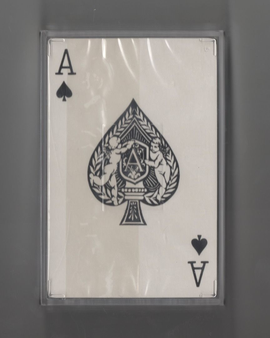 Disney 15 Years Tokyo Disneyland 15th Anniversary Playing Card, Hobbies ...