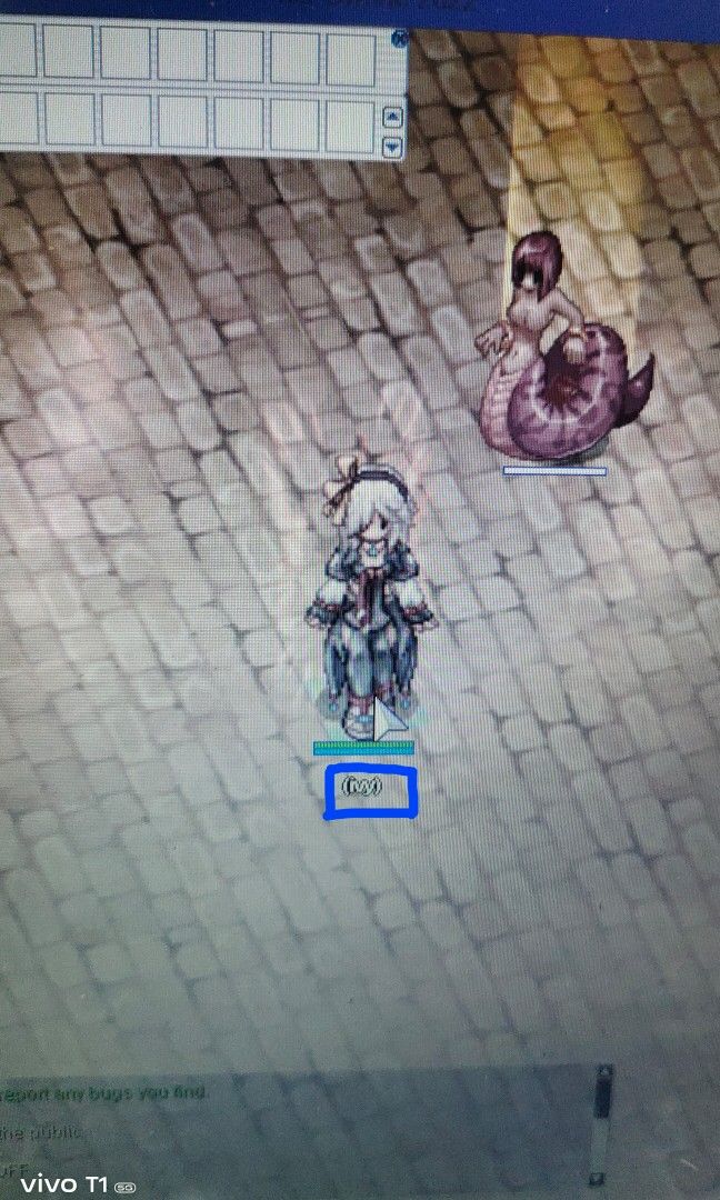 Ragnarok offline 4th job (Gm id), Video Gaming, Video Game Consoles ...