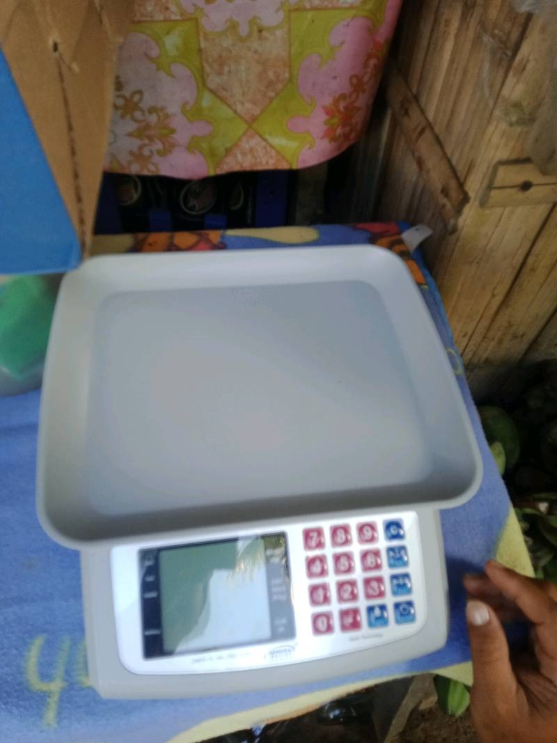 General Master Portable Digital Scale 5KG 10KG GMPD, Furniture & Home ...