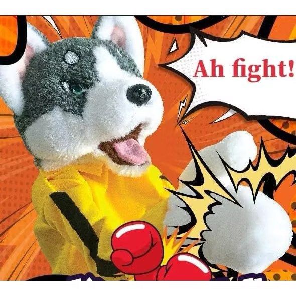 New husky boxing dog, Hobbies & Toys, Toys & Games on Carousell