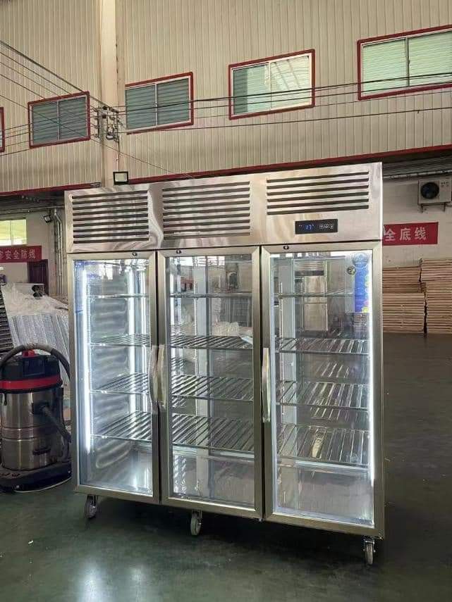 upright chiller front and back opening, TV & Home Appliances, Kitchen ...