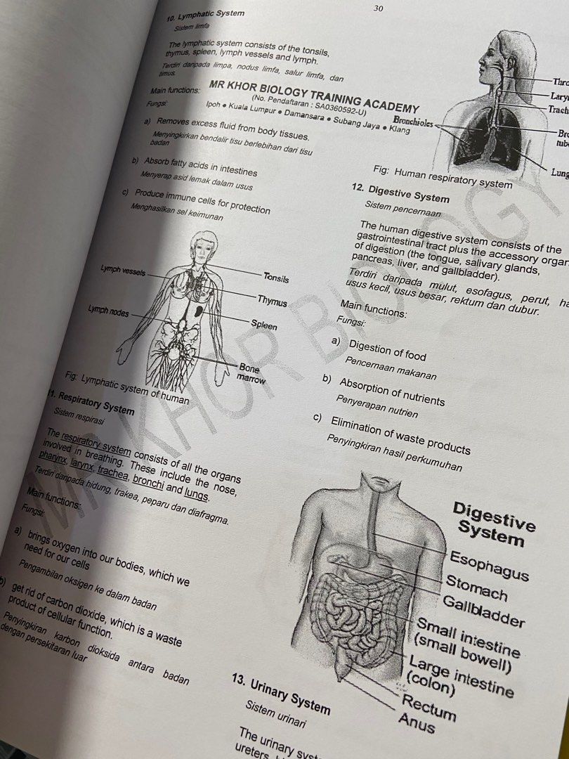 FORM 4 KSSM Biology Notes, Hobbies & Toys, Books & Magazines ...