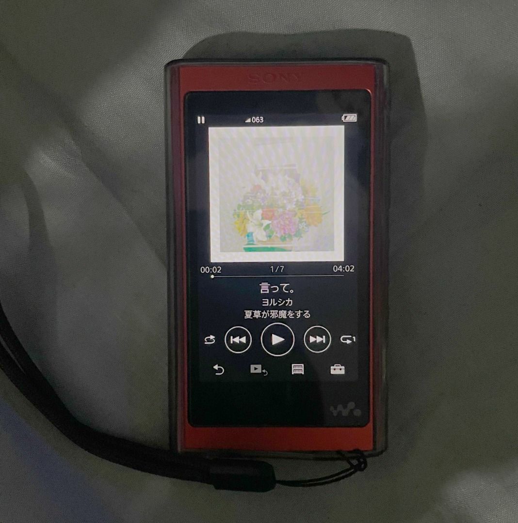 Sony Walkman NW-A55 (Twilight Red), Audio, Portable Music Players on ...