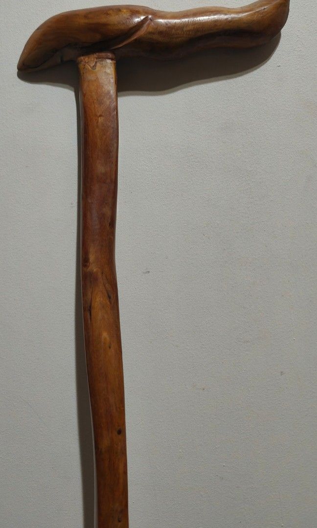 Tongkat Raja Kayu ( Damar Minyak ), Everything Else on Carousell