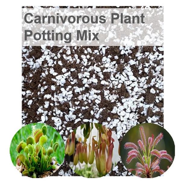 venus flytrap soil mix