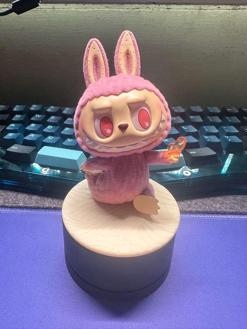 Labubu Lazy Yoga Blindbox (Confident), Hobbies & Toys, Toys & Games on ...