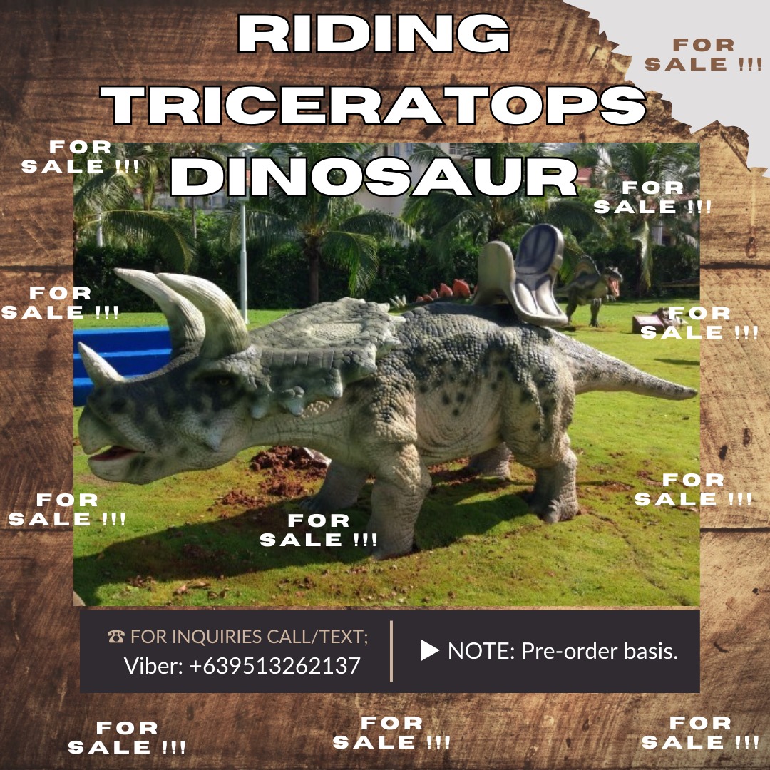 Riding Triceratops Dinosaur, Everything Else, Others on Carousell