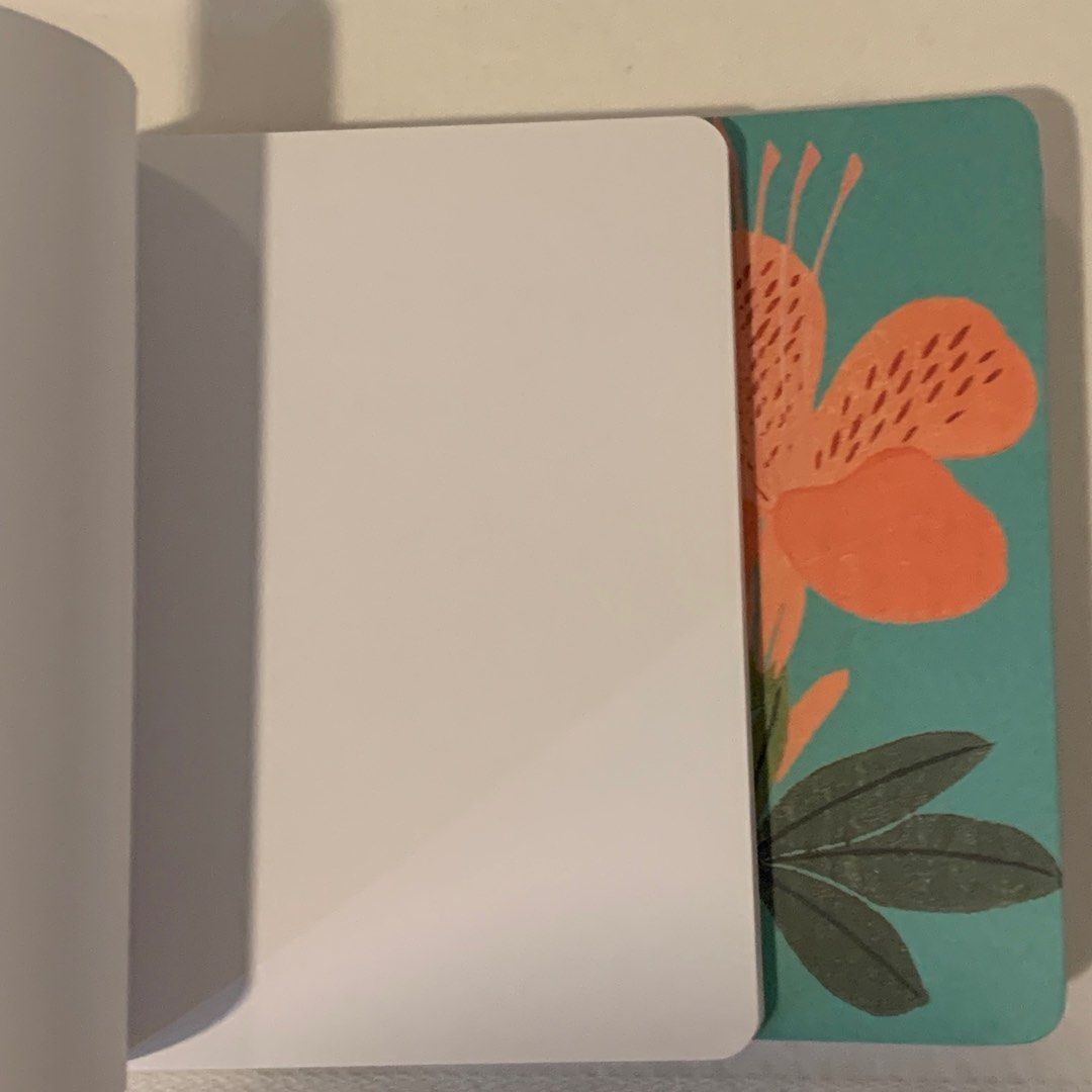 RHS In Bloom pocket notebook set of 3 blank+ruled+gridded, Hobbies ...