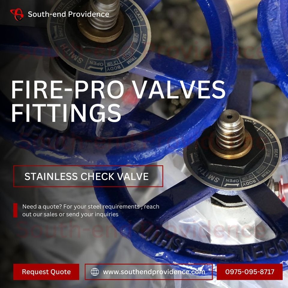 SS304 Thread Check Valves / SS 304 Stainless Check Valves / Swing Check ...