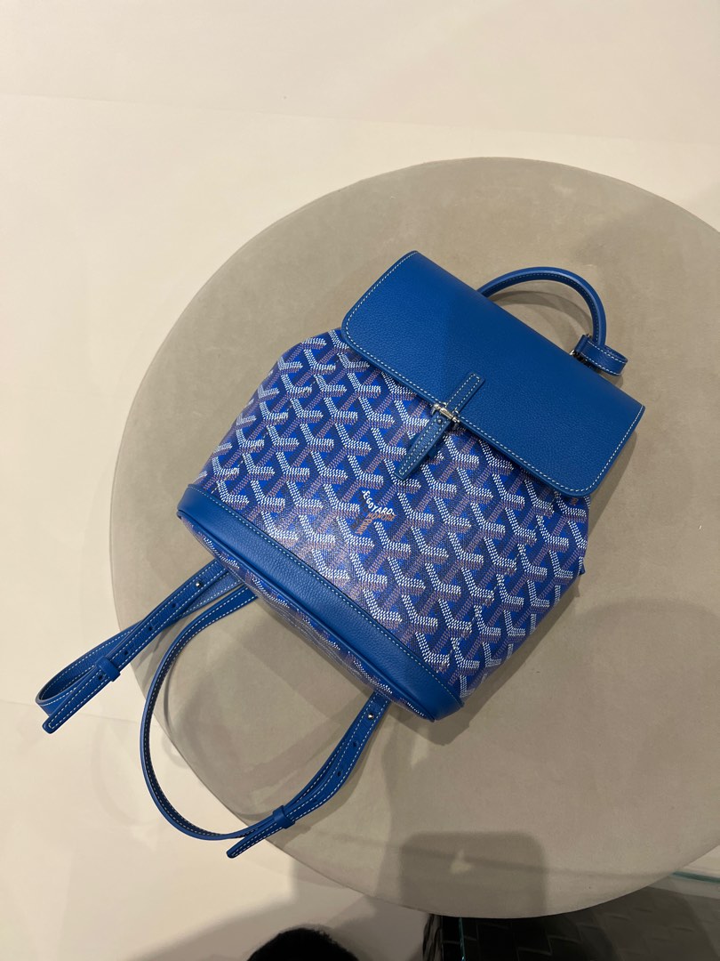 Goyard Alpin Mini Backpack, 名牌, 手袋及銀包 - Carousell