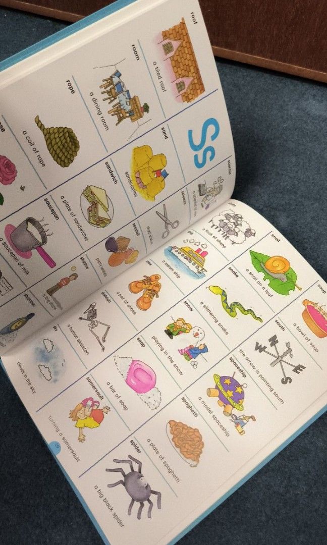 LADYBIRD PICTURE DICTIONARY LIKE NEW INSIDE, Babies & Kids, Infant ...