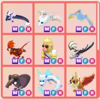 Roblox adopt me pets NFR Kangaroo, Video Gaming, Gaming Accessories, In ...