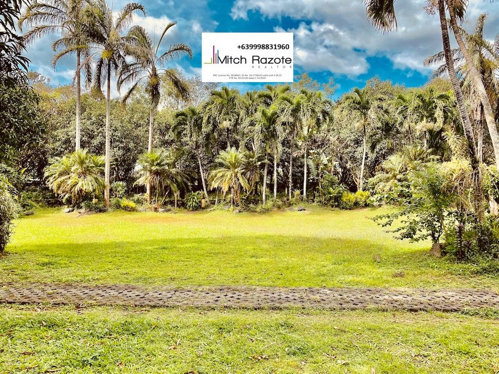 3-Hectare Farm With 7 Bedroom House and Swimming Pool For Sale in Lipa ...