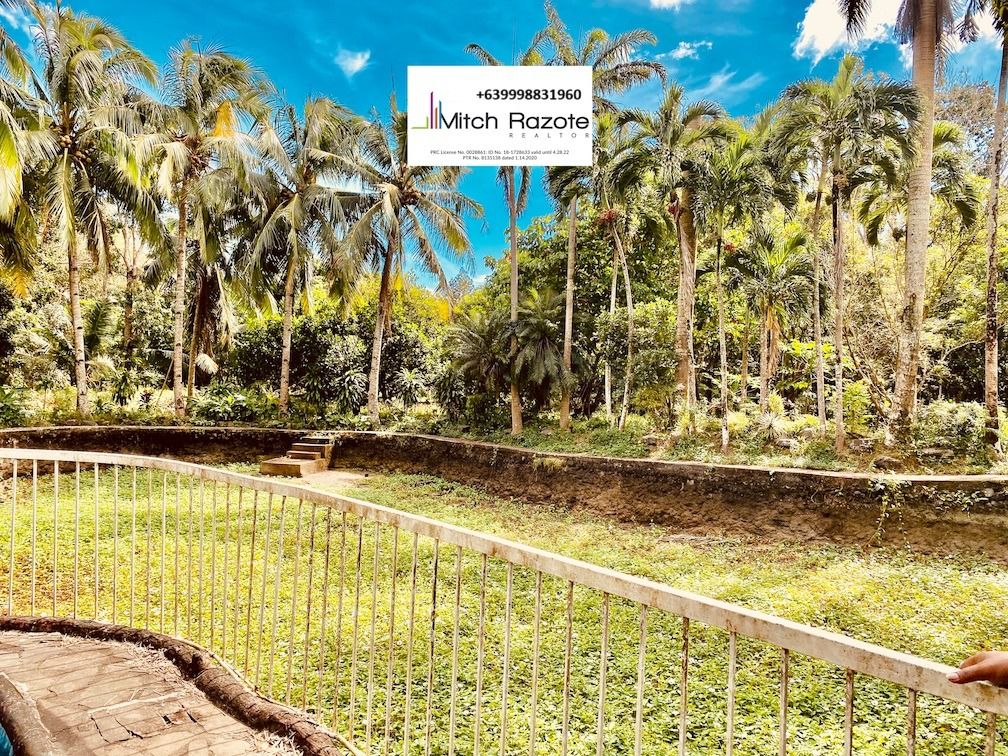 3-Hectare Farm With 7 Bedroom House and Swimming Pool For Sale in Lipa ...