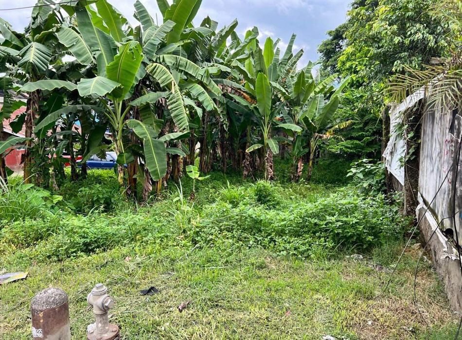 Commercial Lot for Lease at Pit-os Talamban Cebu City, Property ...